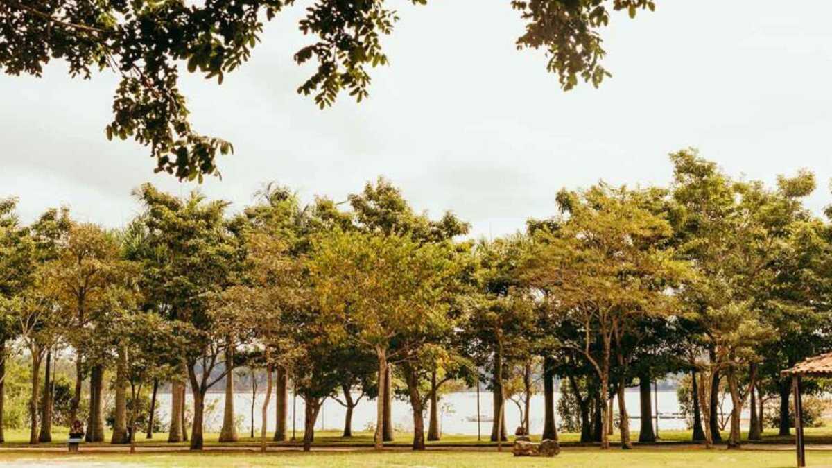 Conheça o parque que tem acesso à praia de água doce em SP - Diário do ...