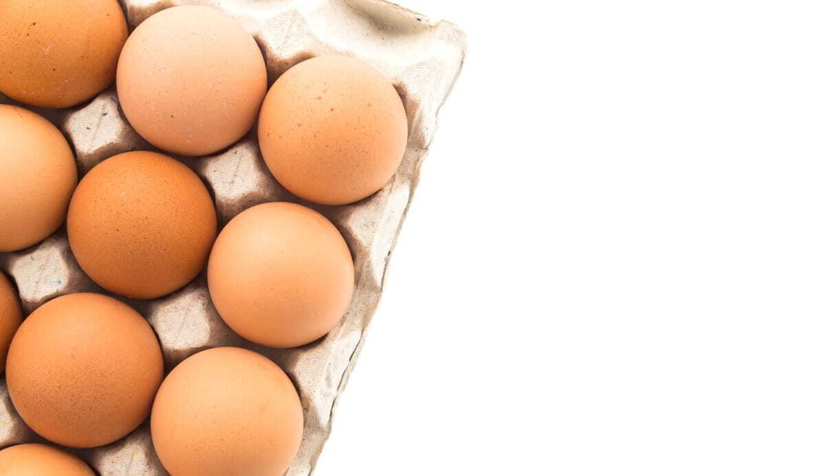 Entenda se há diferença entre o ovo branco e o vermelho - Diário do Litoral