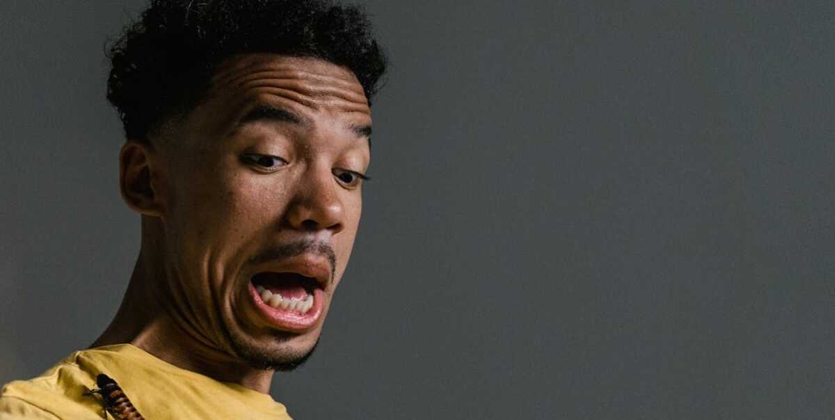 Medo de barata voadora? Veja dicas para manter esse bicho longe da sua ...