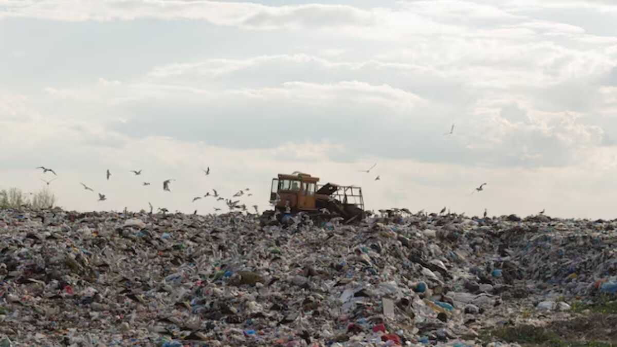 Homem perde HD com 8 mil Bitcoins, que valem mais de R$ 4 bilhões, em ...