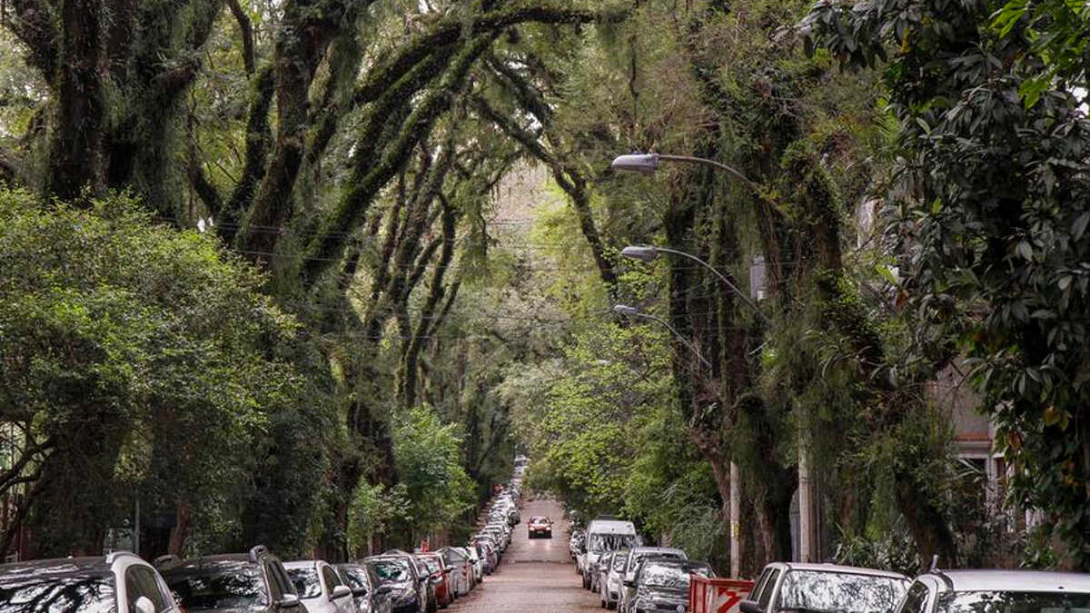Essa rua brasileira é considerada 'a mais bonita do mundo' e as fotos ...