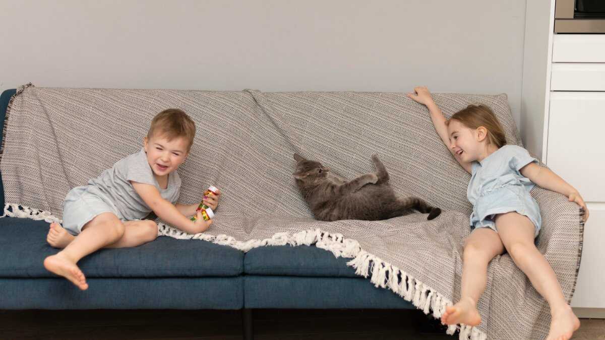 Proteja o sofá e prolongue a sua durabilidade com estas dicas simples e ...