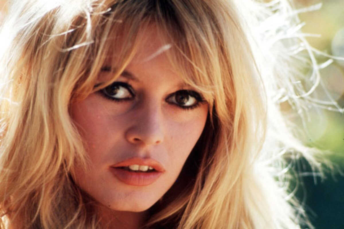 Amir Labaki retrata Brigitte Bardot em documentário - Diário do Litoral