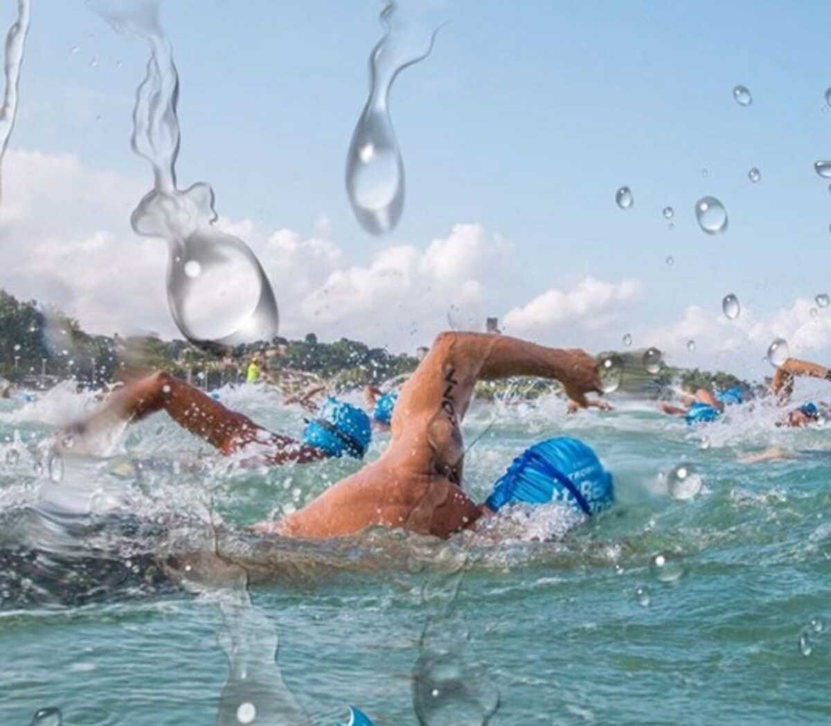 Desafio do Tubarão é atração na Praia de Pernambuco neste domingo ...